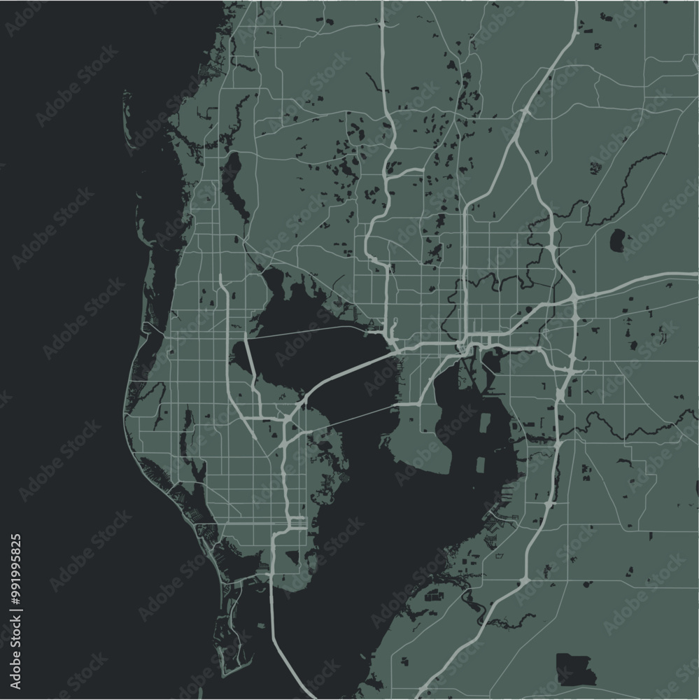 Map of Tampa in Florida in a smooth dark style. Contains layered vector ...