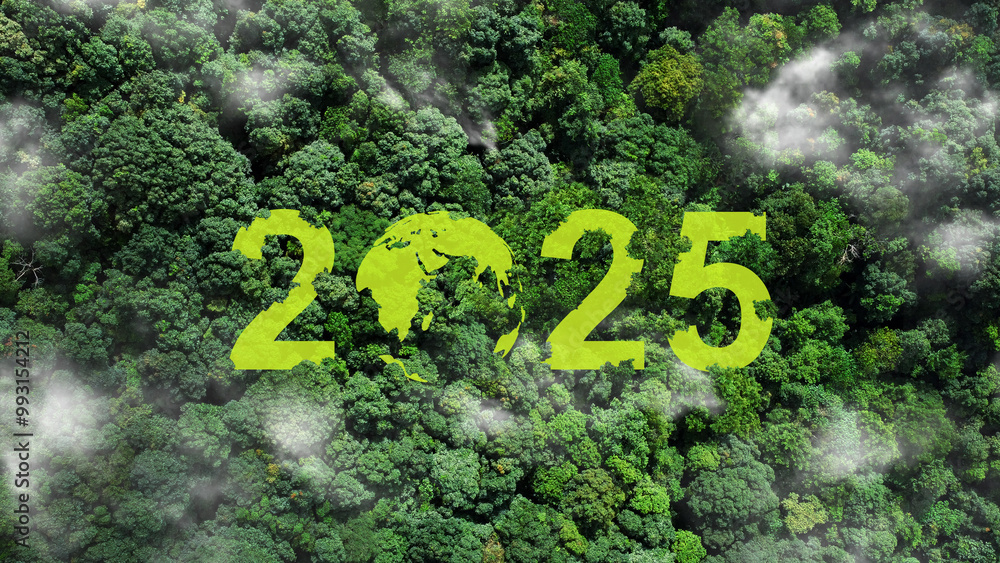 Sustainable Environment Development Goals, 2025 symbol on green grass ...