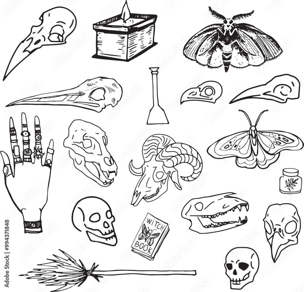 Line Set Witch item Halloween Clip art human skull outline moth ...