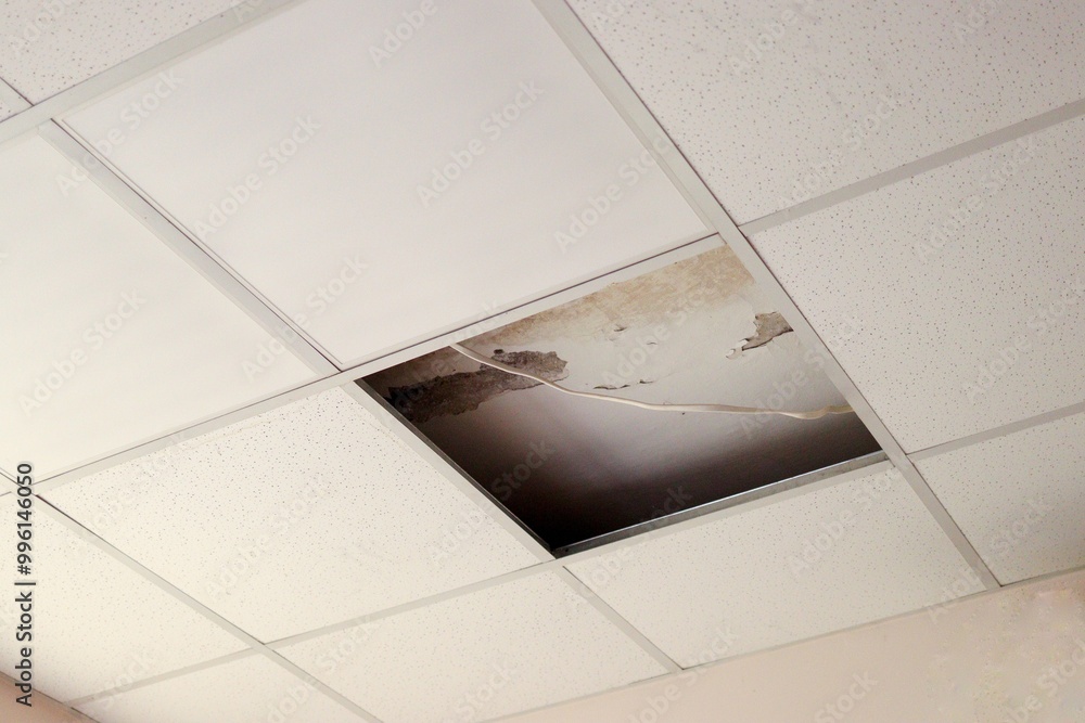 Photography of a ceiling tile damage by water.mildew.brown stain ...