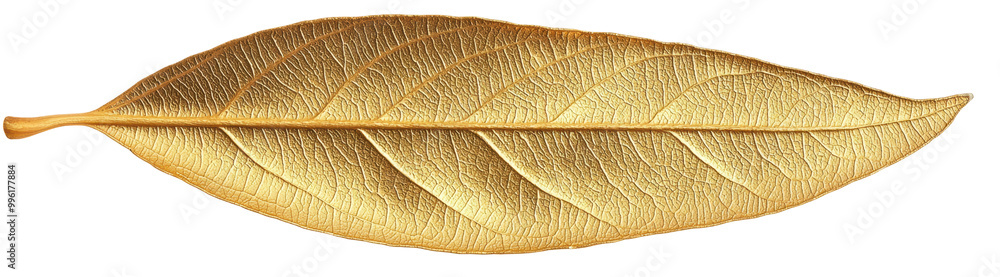 Golden leaf with detailed veins, capturing the intricate natural ...