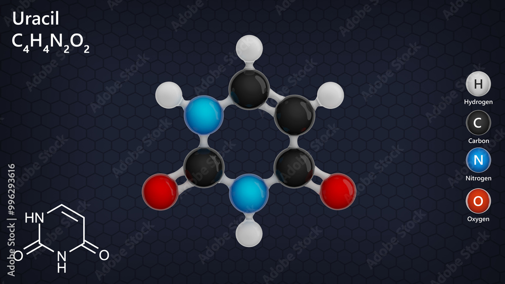 The 2d structure and a 3d model of molecule Uracil (C4H4N2O2). Uracil (symbol U or Ur) is one of ...