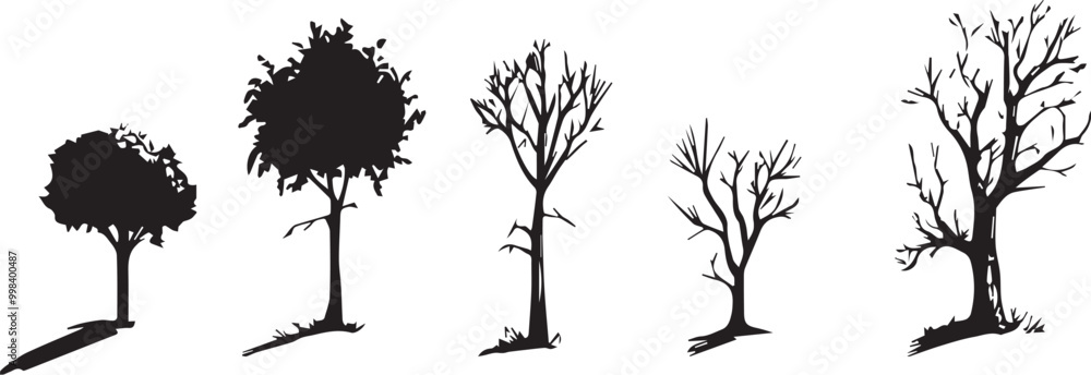 Silhouette tree set. Side view, set of graphic trees elements outline ...