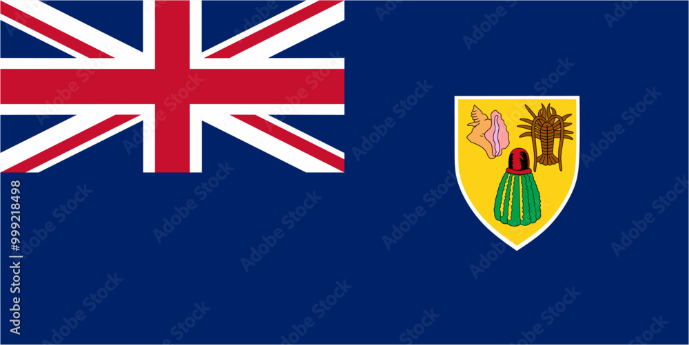 Turks and Caicos Islands official flag vector with standard size and ...
