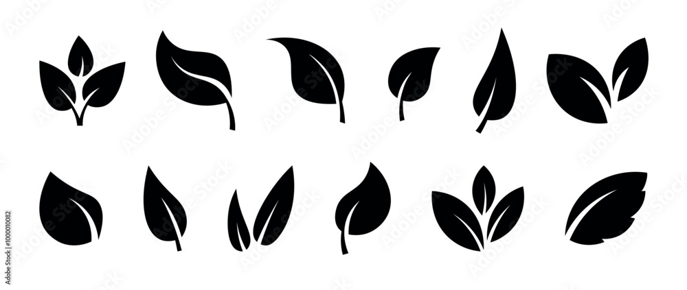 Set of black leaf icons on transparent background. Leaves of trees and ...