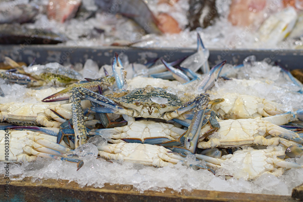 Fish market in Hurghada is the most interesting place in the El Dahar ...