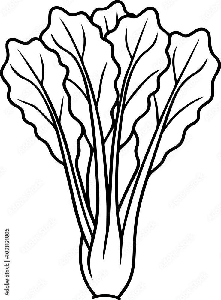 choy sum outline coloring book page line art vector illustration Stock ...
