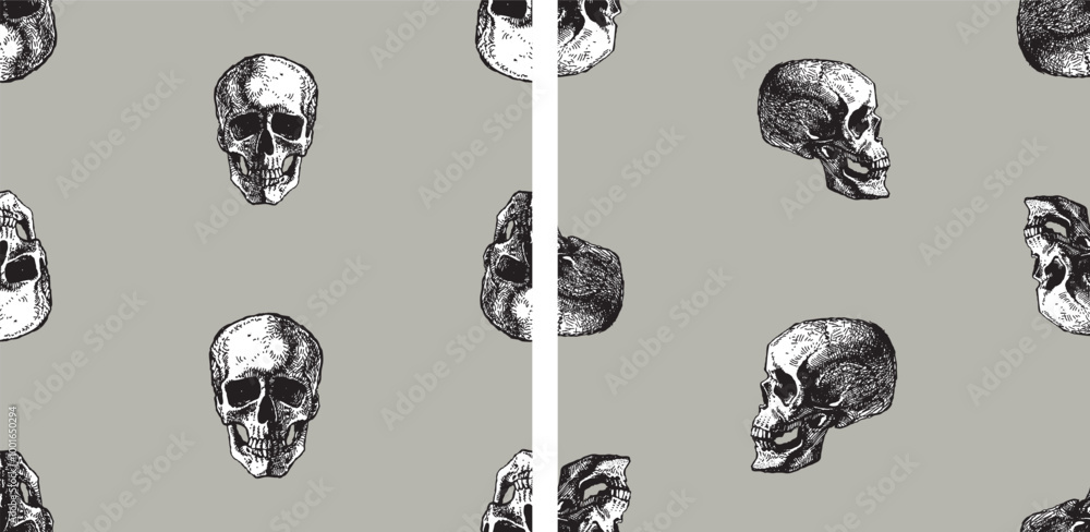 Seamless patterns of human skulls sketches, realistic hand drawings ...