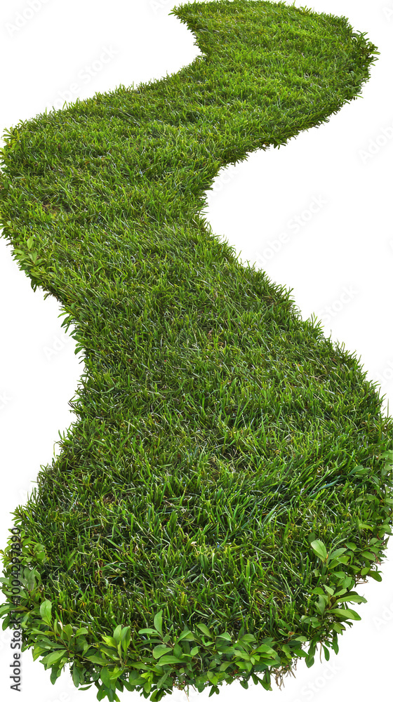 Curved grass pathway, lush green texture, white isolated background ...