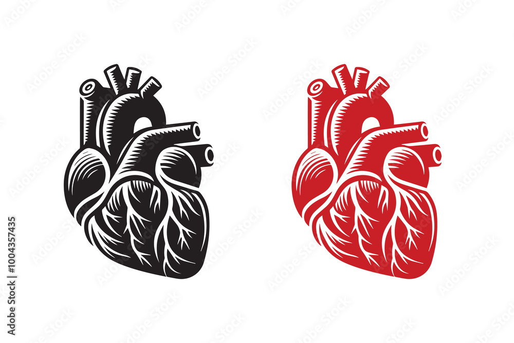 Human Cardiac Muscle Art and Graphics silhouette Illustration Stock ...