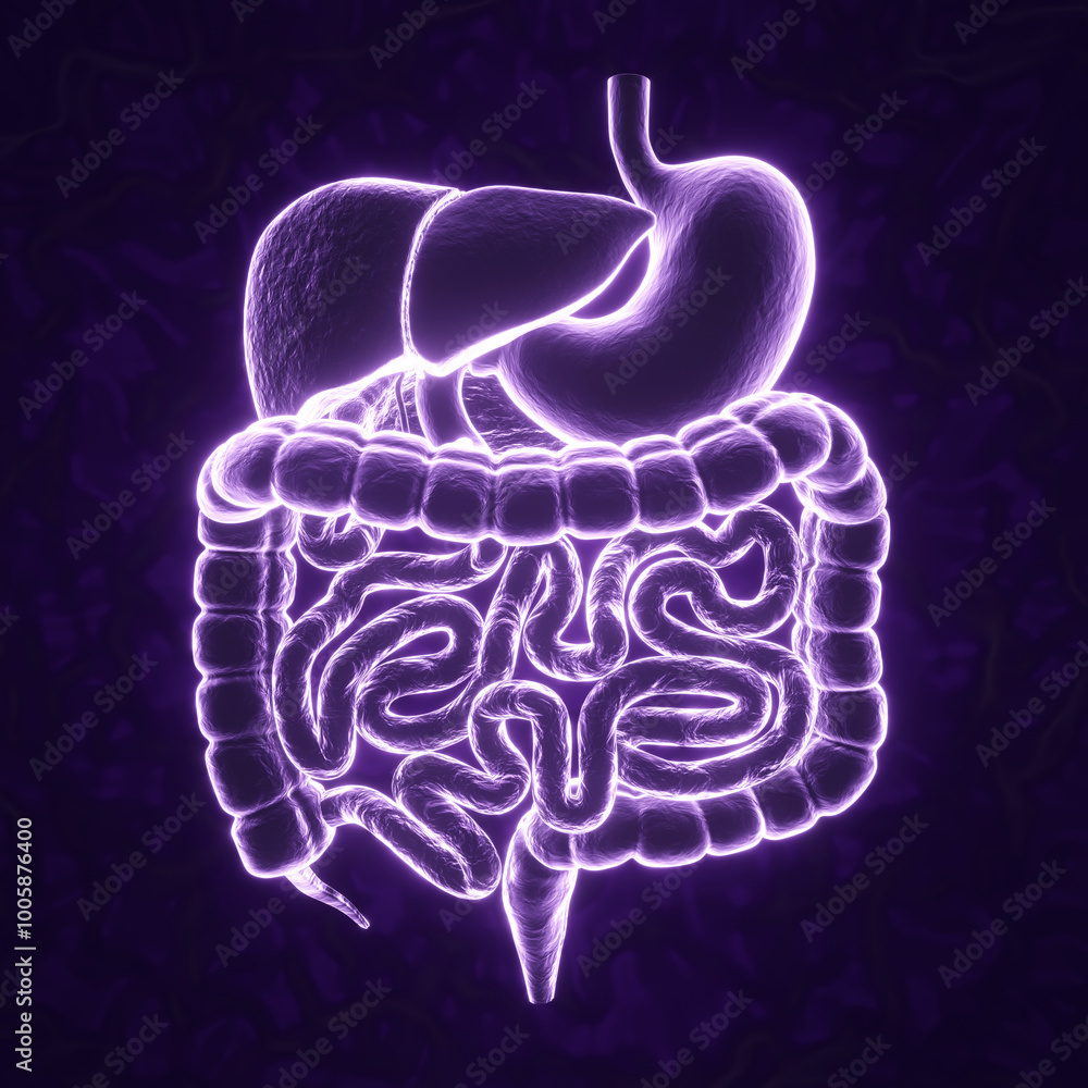 Glowing human anatomy digestive system on purple background. X-ray ...