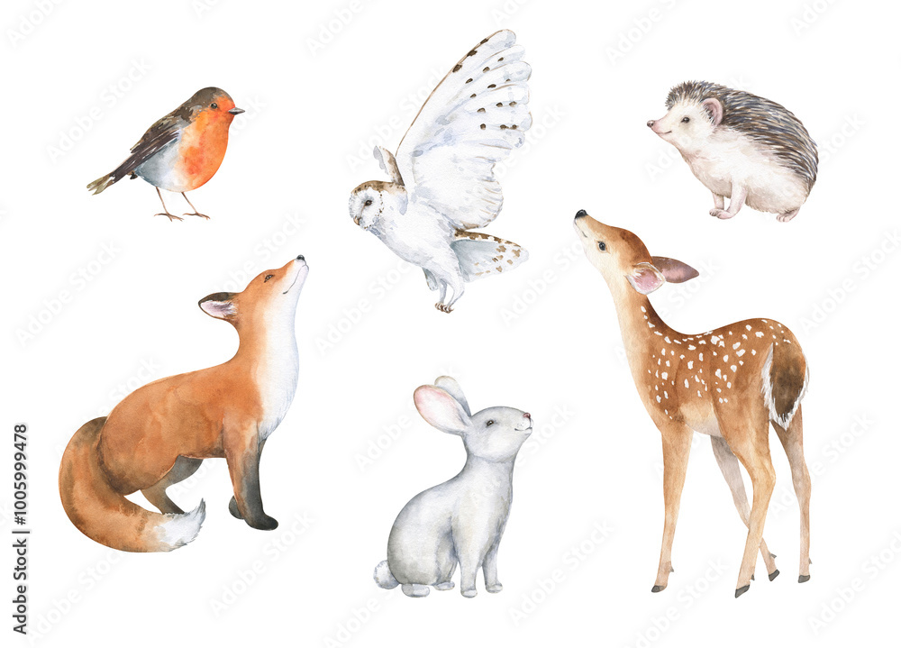 Watercolor forest animals clipart. Set of cute woodland characters ...