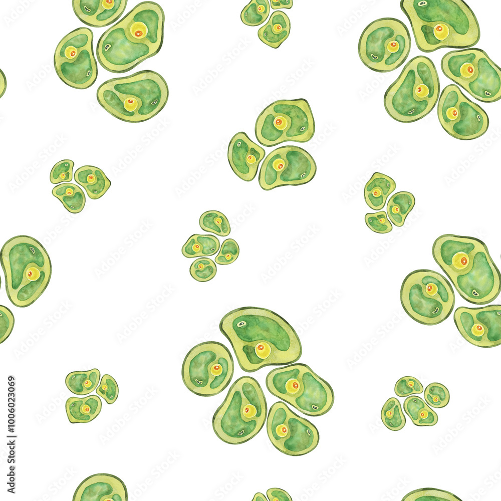 Chlorella algae cells scattered in a seamless pattern. Watercolor ...