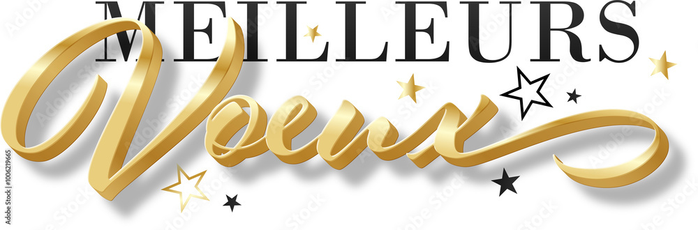 MEILLEURS VOEUX (HAPPY NEW YEAR in French) metallic gold and black ...
