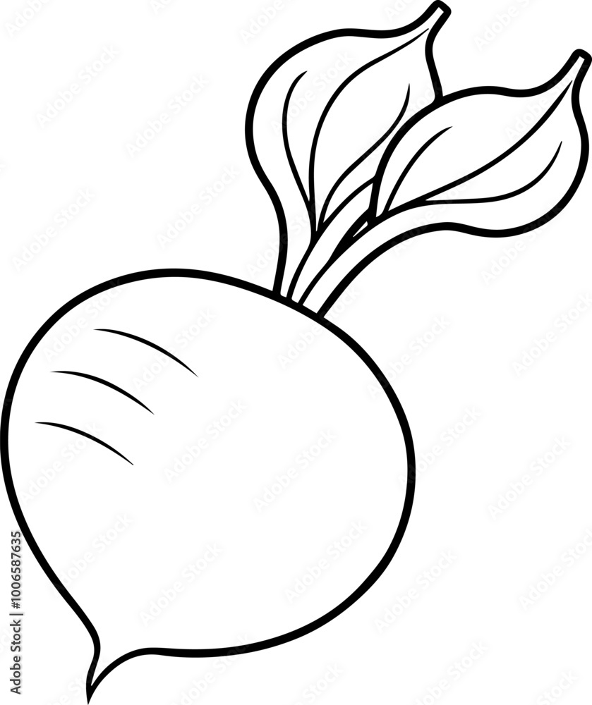 beetroot outline coloring book page line art vector illustration Stock ...