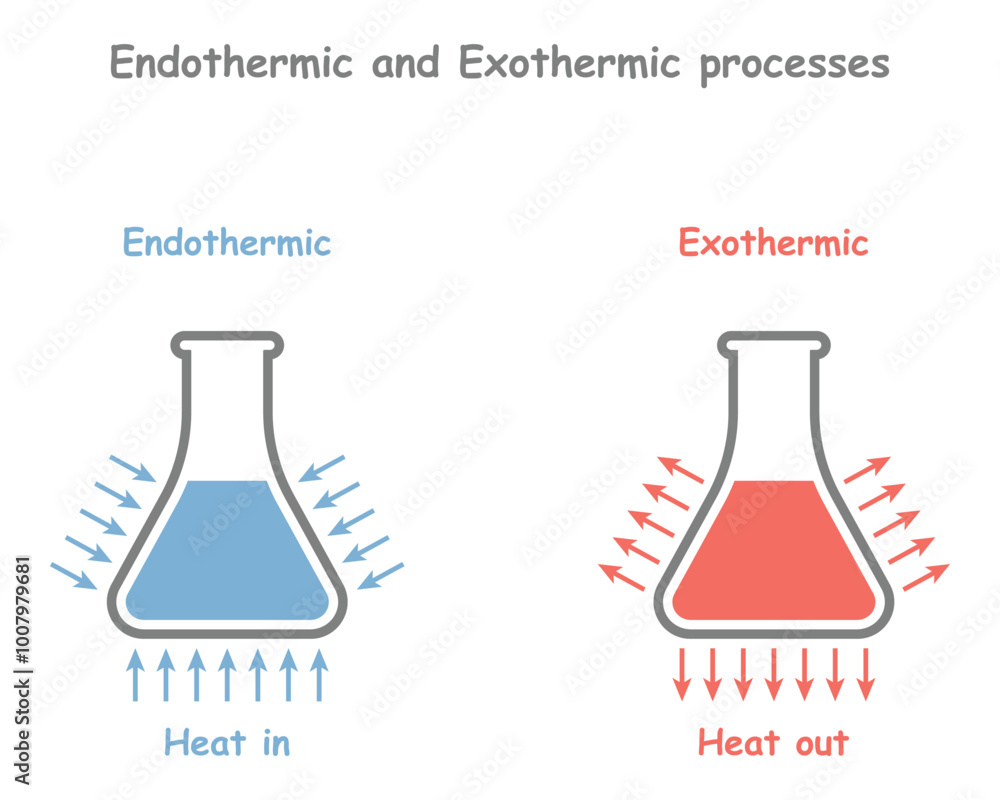 Endothermic and Exothermic processes and reactions. Heat out and heat ...