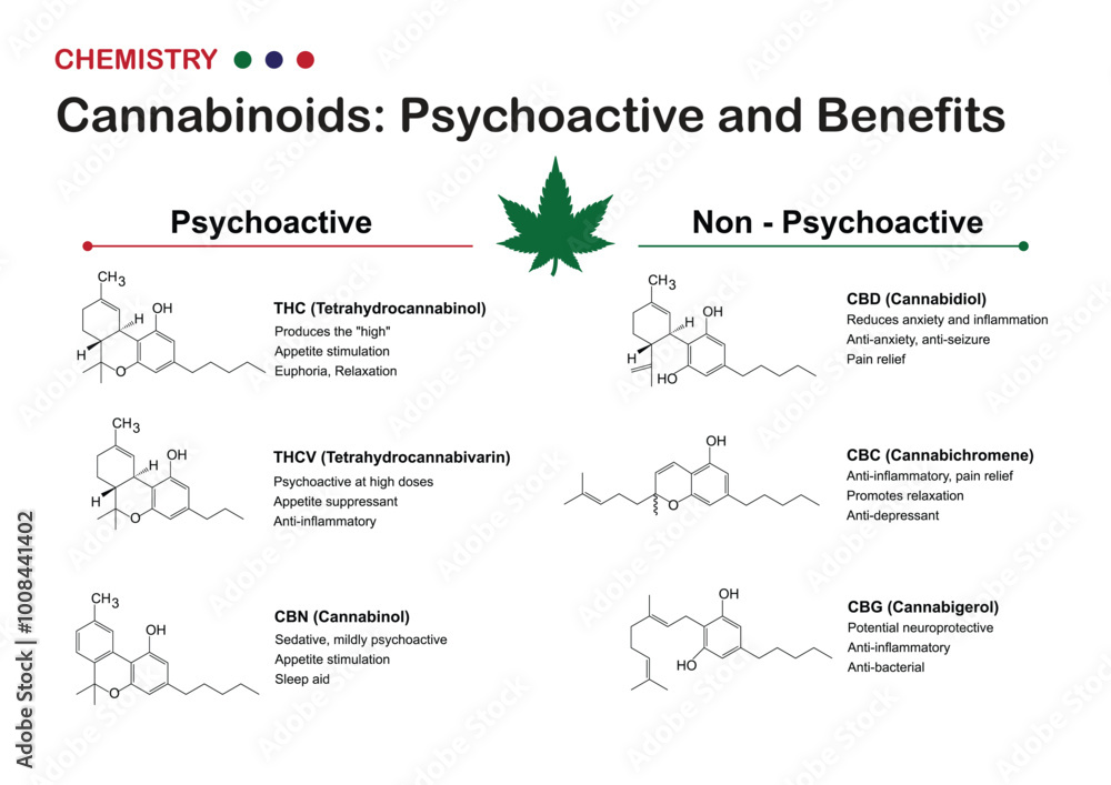 Infographic comparison of Cannabinoids: Psychoactive vs Non ...