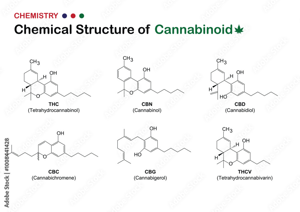 Chemical Structures of Various Cannabinoids Diagram Stock Vector ...
