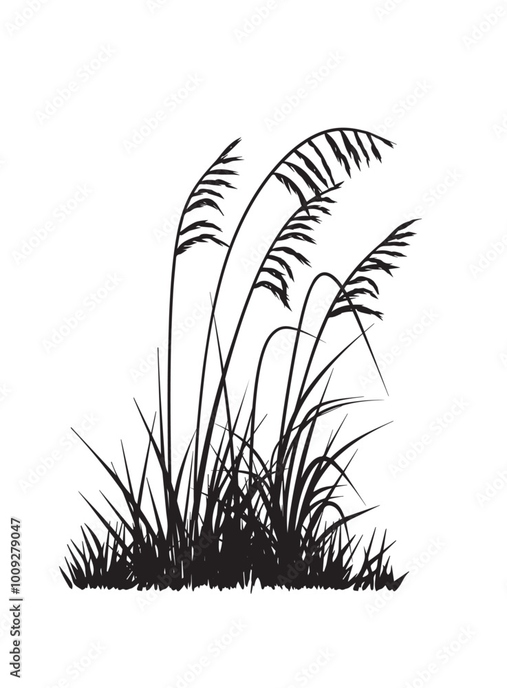 Beach grass silhouette isolated on white. Fern clip art. Stock Vector ...