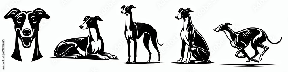 Set of greyhound vector silhouette illustration, dog clip art mascot ...