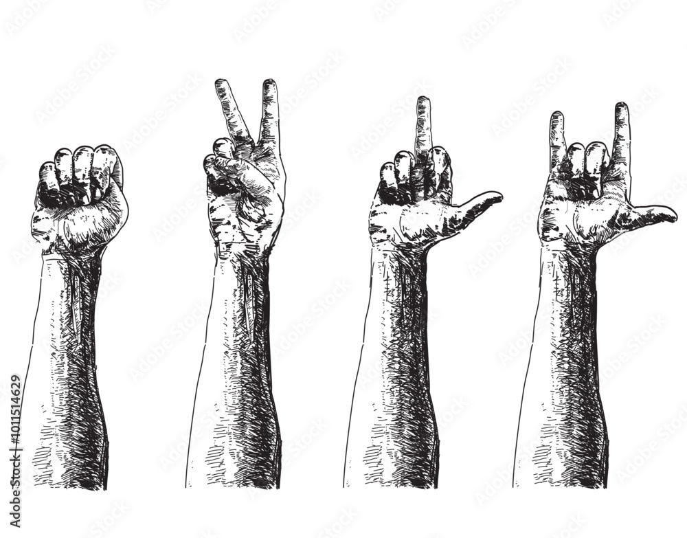 different types signs hands fight rock gesture linear realistic colored ...