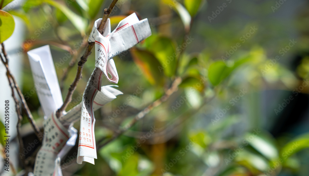 Omikuji small fortune telling papers tied on a tree outdoors at a ...
