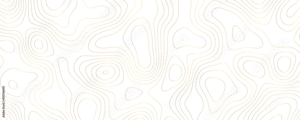 Luxury Golden Topography Banner with Wavy Contour Lines and Geometric ...