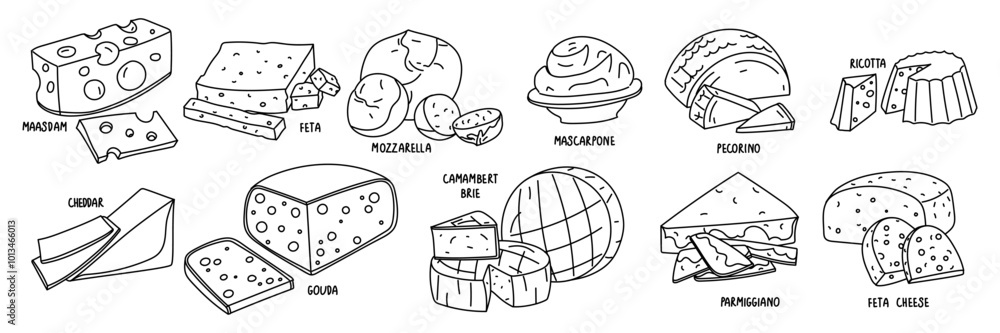 Doodle is a set of different types of cheese in a group. Group ...