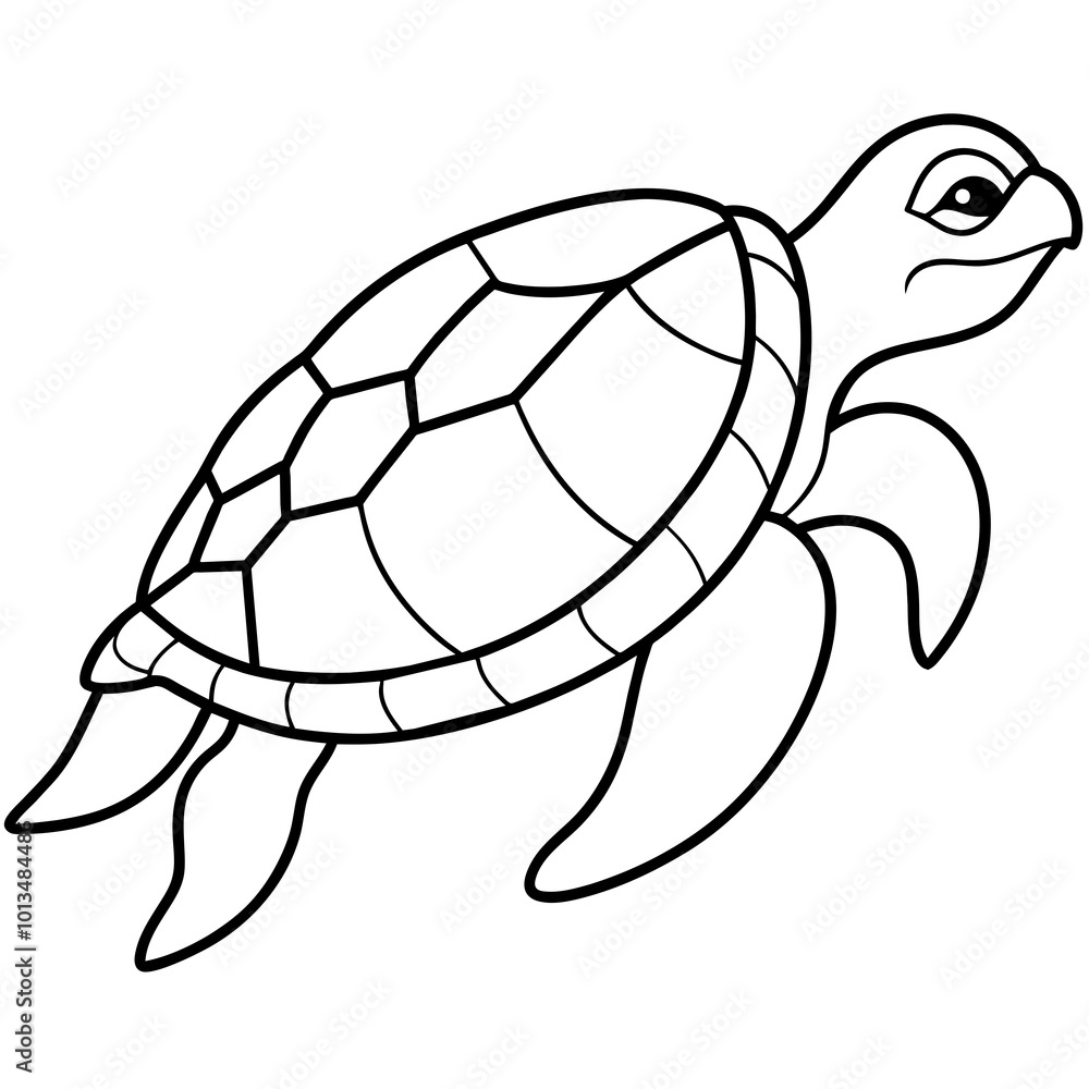 Turtle silhouette vector illustration with a detailed shell and hinged ...