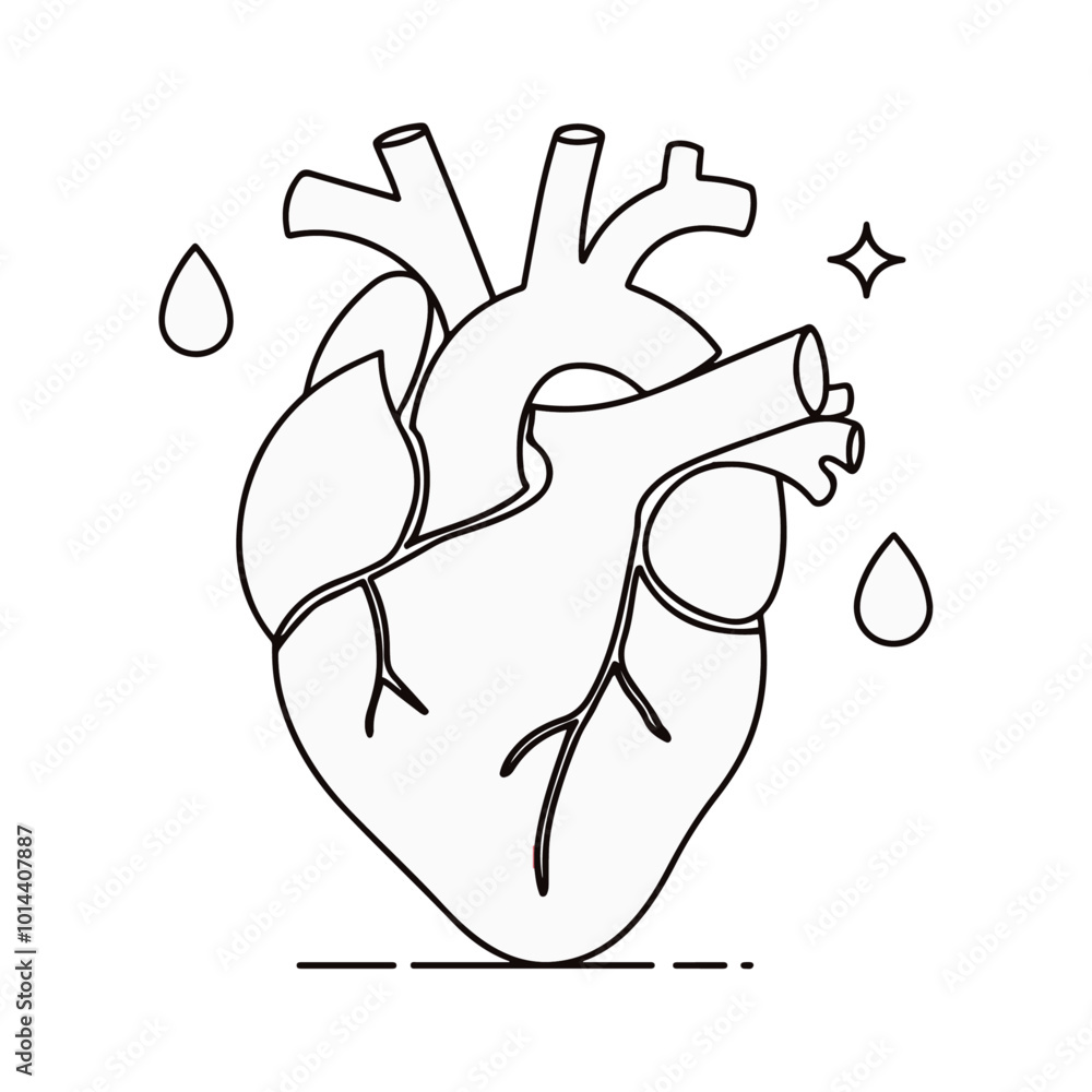 Hand-Drawn Illustration of the Human Internal Organ Heart, human heart ...