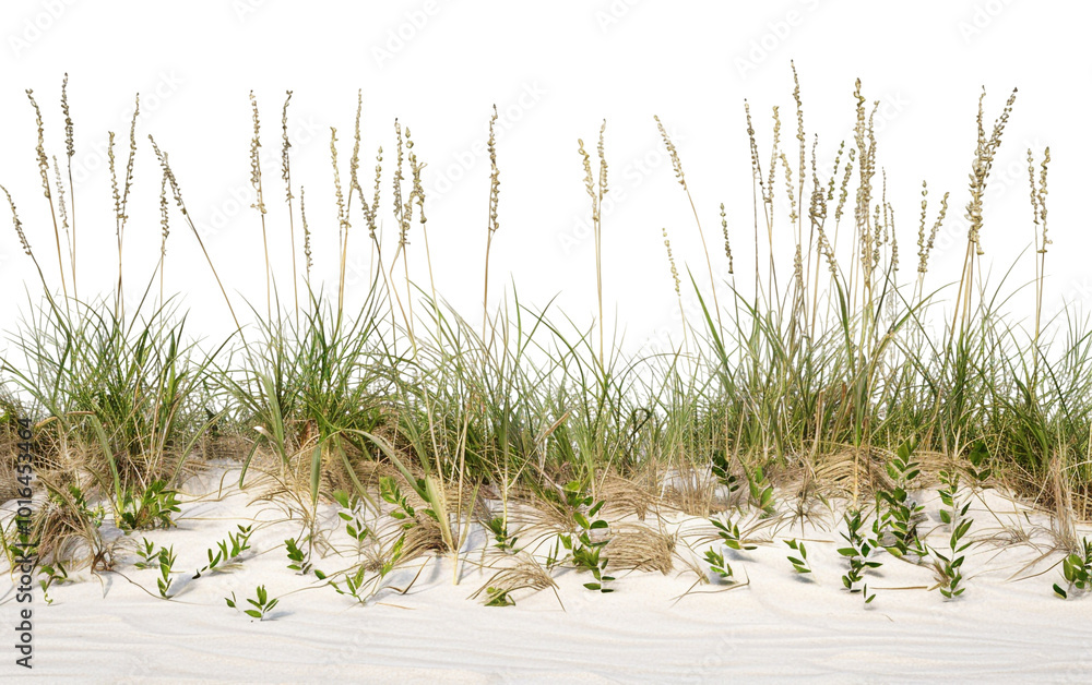 Ultra-clear image of a coastal restoration project featuring wave ...