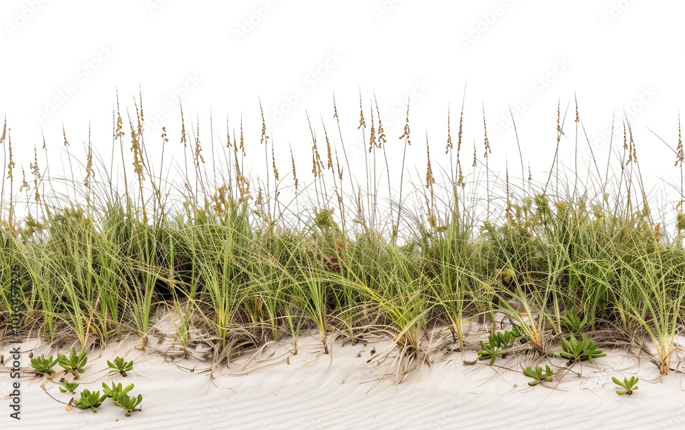 Ultra-clear image of a coastal restoration project featuring wave ...