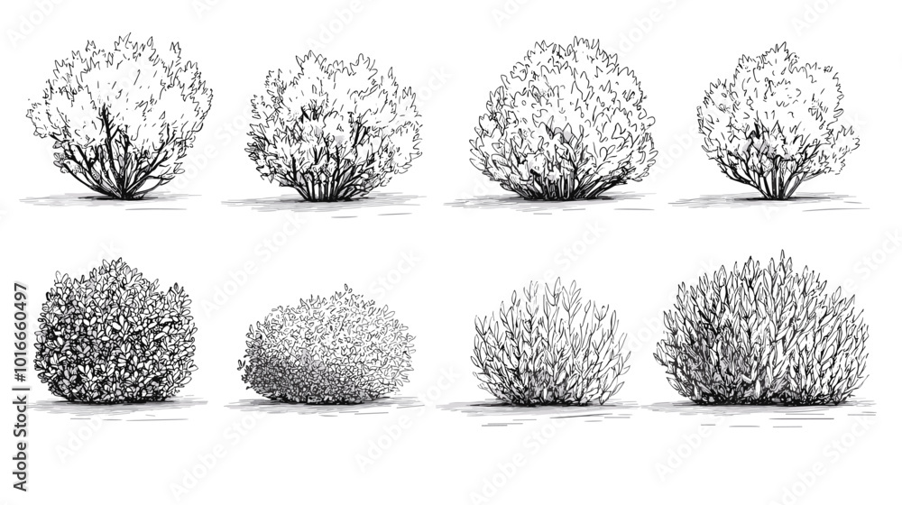 Set of vector bush illustrations on a white background. Architectural ...