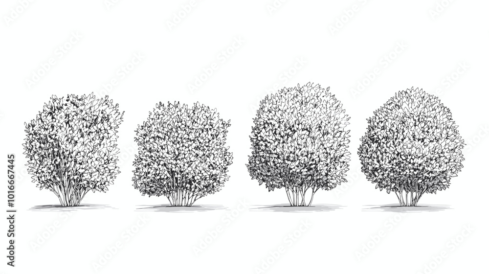 Set of vector bush illustrations on a white background. Architectural ...