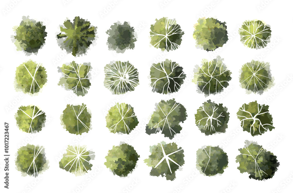 Vector tree top view isolated on white background for landscape plan ...