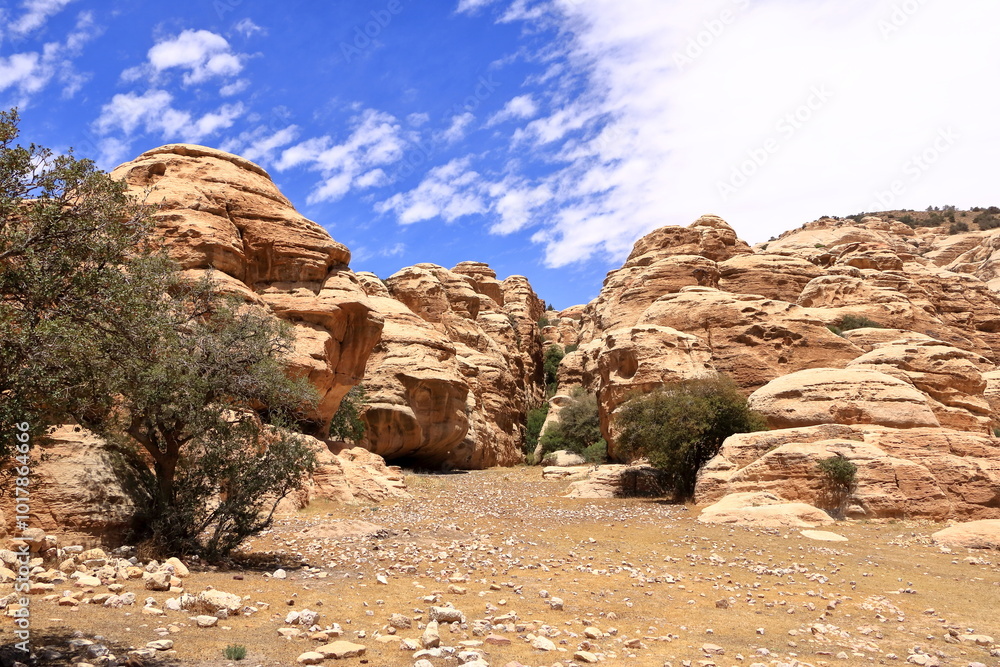 Typical landscape and rock forms in Dana Biosphere Nature Reserve ...