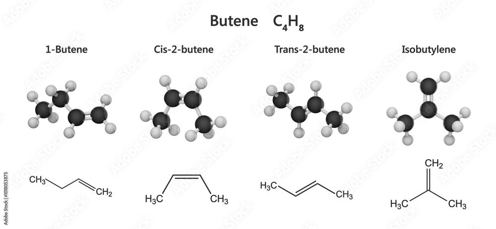 Isomers Of Butene Several Isomeric Forms Including 1 Butene Cis 2 Butene Trans 2 Butene