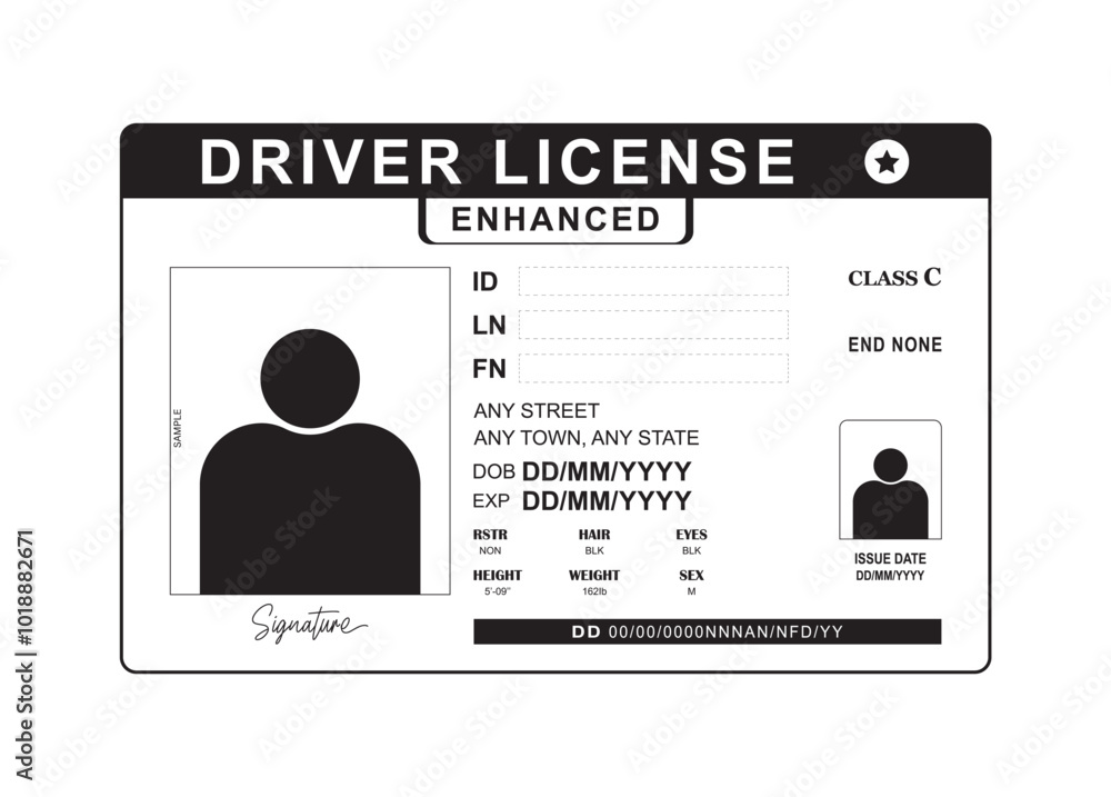 Drivers License Template Vector Drivers License Template Clipart