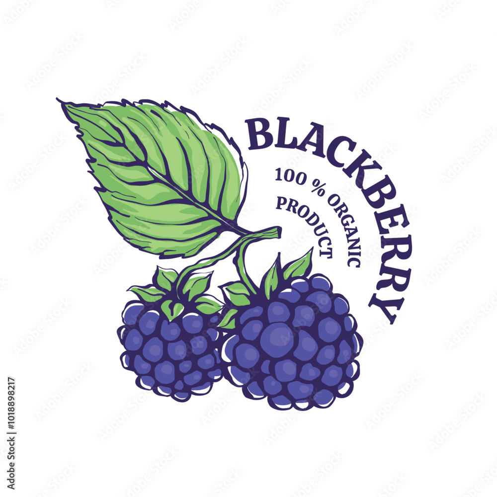 Vector color label of a blackberry product. Hand drawn line ...