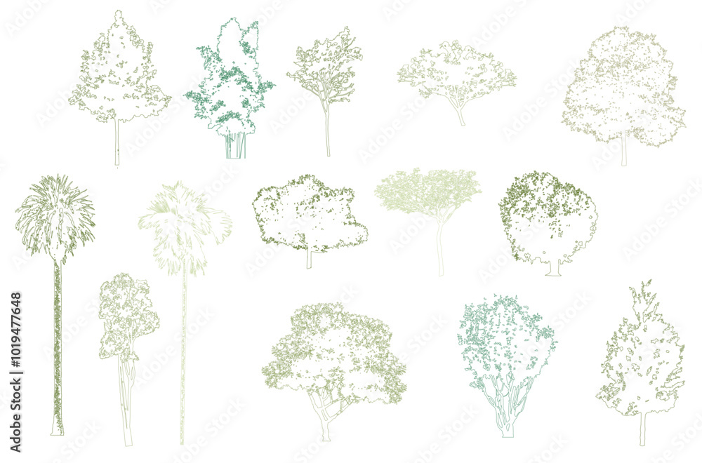 เวกเตอร์ Stock Minimal style cad tree line drawing, Side view, set of graphics trees elements ...