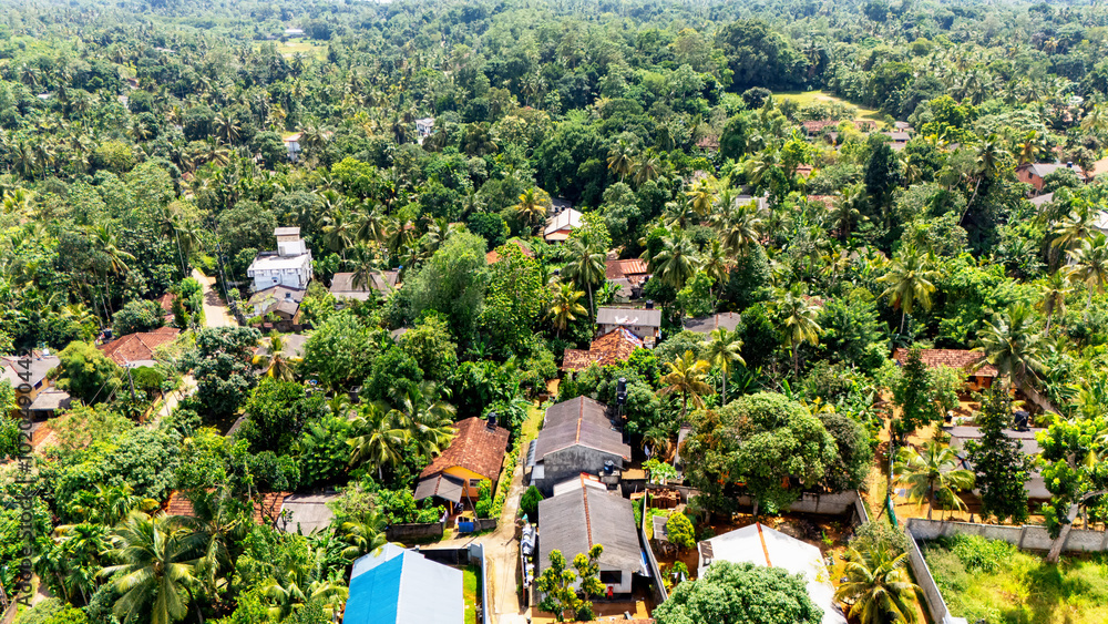 Aerial view of green Sri Lankan village. The vibrant village in Sri ...