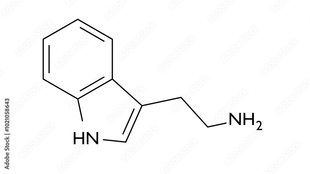 tryptamine molecule, structural chemical formula, ball-and-stick model ...