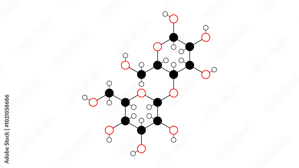 maltose molecule, structural chemical formula, ball-and-stick model ...