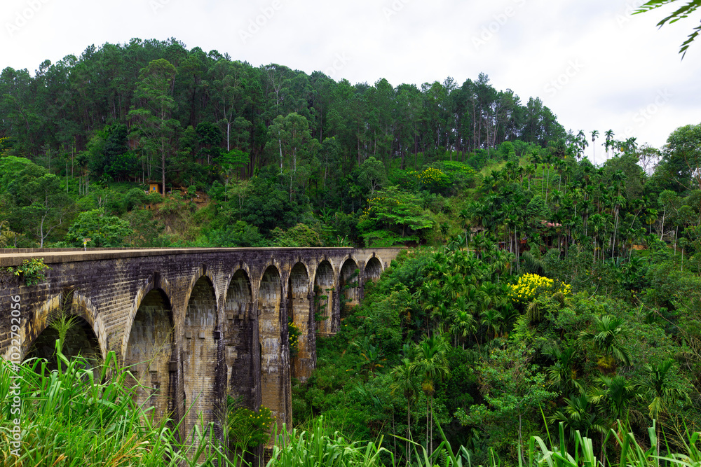 Foto de Stock Ella's nine arches railway bridge, in the Badulla ...