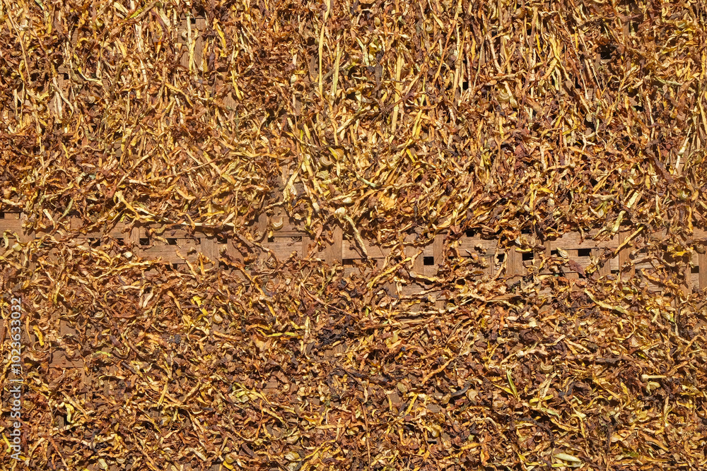 Abstract shapes, patterns and textures of shredded tobacco leaves dried ...