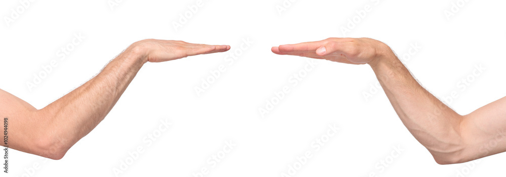 Two sides of male arm bent at the elbow with the palm facing down, as a ...