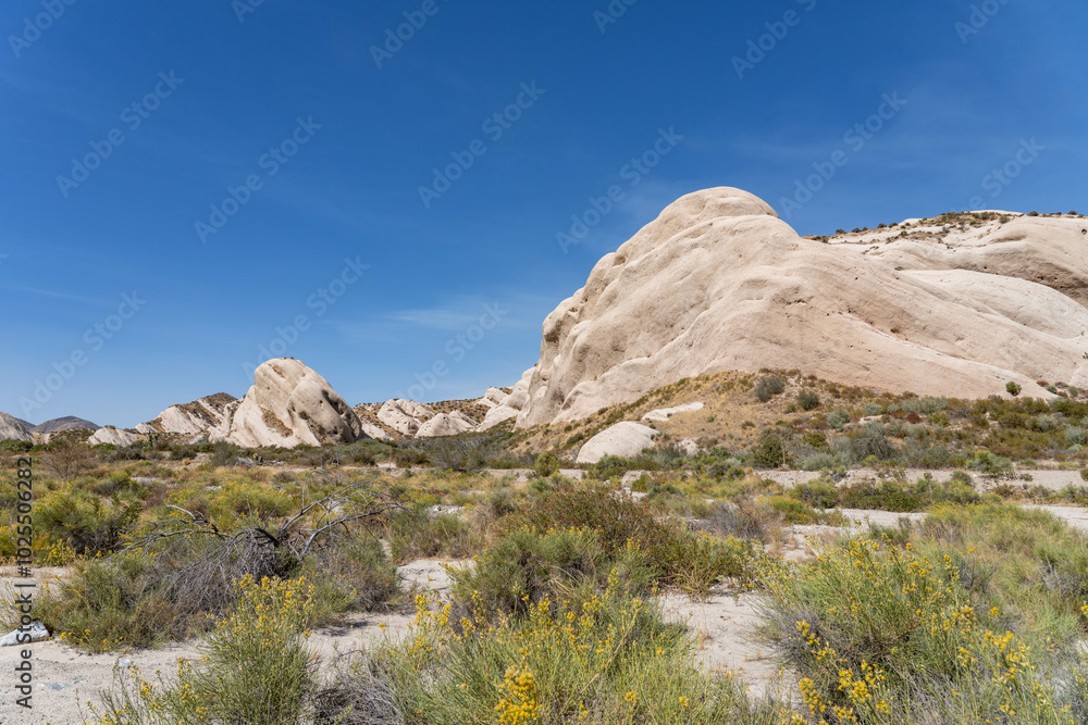 Cajon Valley Formation, Unit 2. Conglomerate and conglomeratic ...