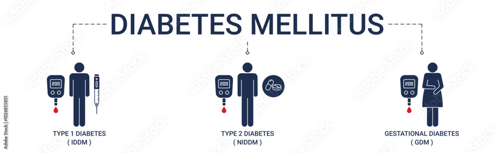 Diabetes Mellitus types banner with type 1, type 2, gestational ...