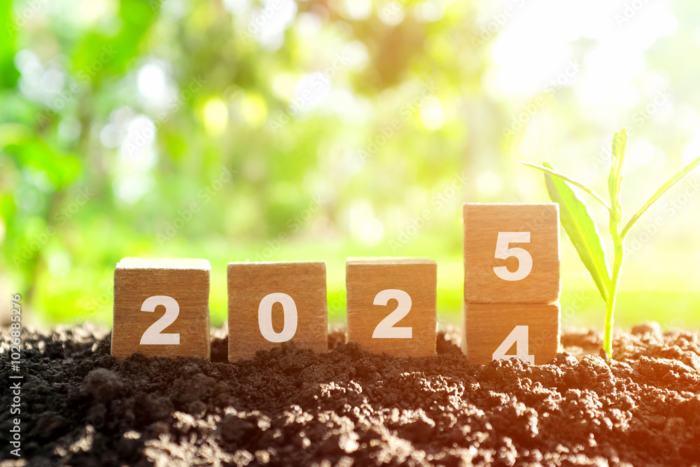 Transition change of year 2024 to 2025 in wooden blocks with growing ...