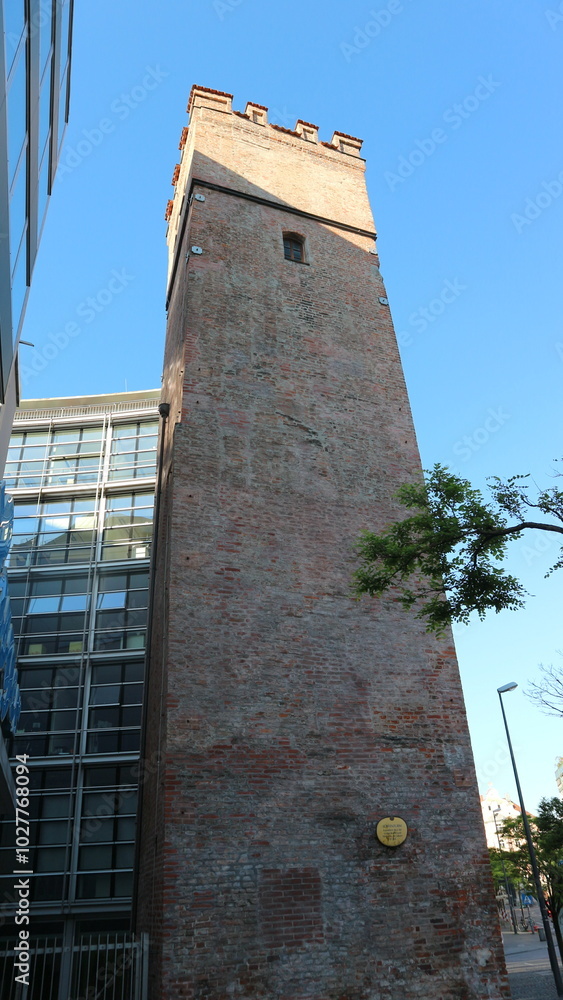 Foto de Stock Lion Tower in Munich. It is located at Rindermarkt ...